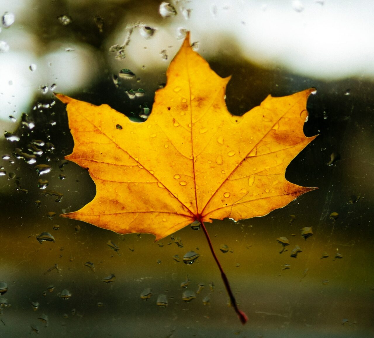 Wet and windy weather protection for your home - Consumer Code